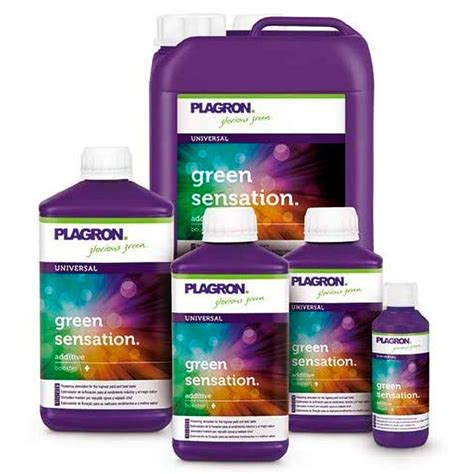 Plagron Green Sensation - T H H Global Ltd