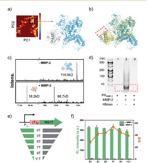 Figure 1 From Target Activated Transcription For The Amplified Sensing