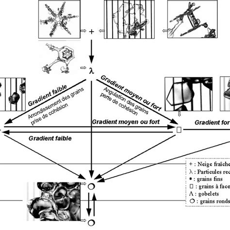 8 Module d Young et coefficient de Poisson en fonction de la densité Download Scientific