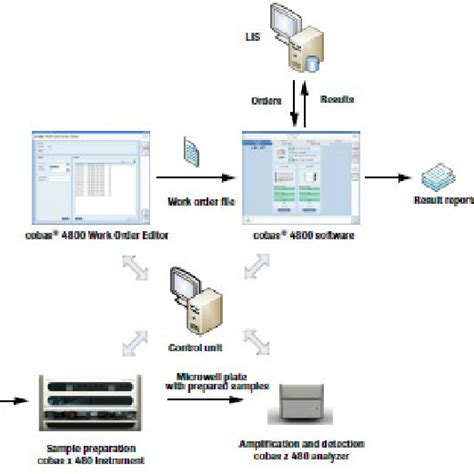 Cobas 4800 Hpv Test System Overview Adapted From Cobas 4800 2010 Download Scientific Diagram