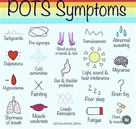 Pin By Erin V On Health In 2024 Dysautonomia Awareness Chronic