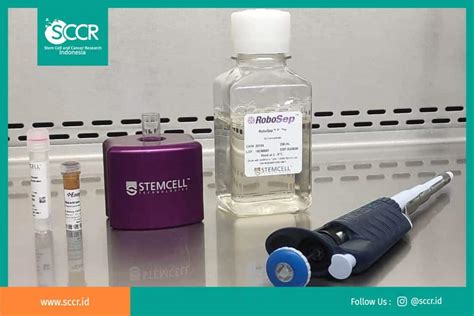 Immunomagnetic Cell Separator Stem Cell And Cancer Research