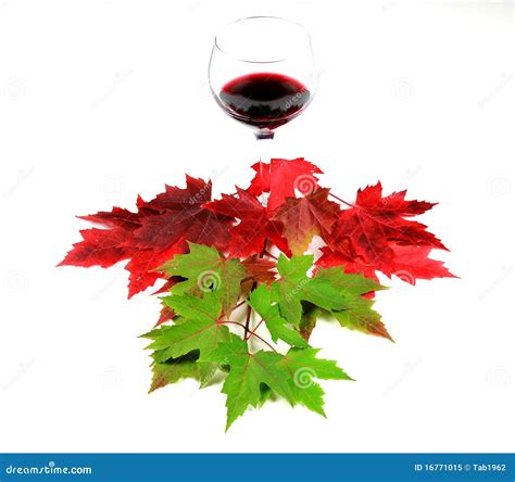 Red Wine Glass And Maple Leafs Stock Image Image Of Seasons