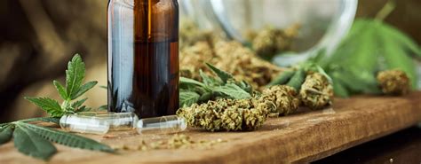 Comprendre Les Nouvelles Molécules Le Thc P Légal En France