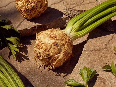 What Is Celeriac The Vegetable To Cook With This Fall Best Health