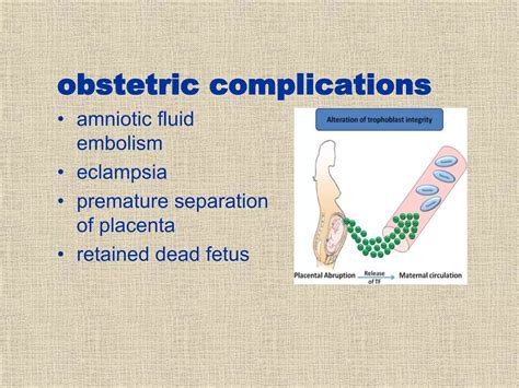 Disseminated Intravascular Coagulation Ppt Pptx