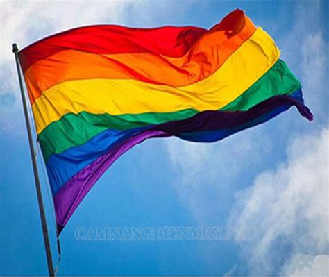 Lgbt Là Gì Những Vấn đề Liên Quan đến Lgbt Bạn Nên Biết Cẩm Nang
