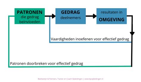Double Loop Leren Voor Trainingen Leiderschap En Persoonlijke