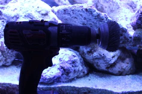 Red Turf Algea Help Reef2reef