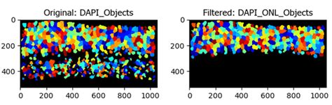Use Cellprofiler To Isolate Outer Nuclear Layer In Fluorescent Retinal
