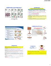 Lecture Notes Unit Lithification And Diagenesis Pdf