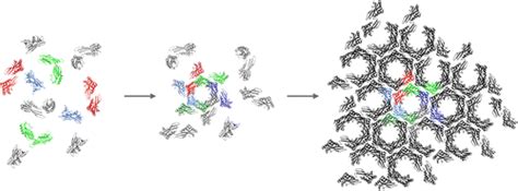 Nano Letters X Mol