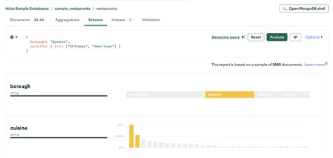 Analyze Your Data Schema — Mongodb Compass