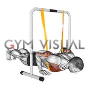 Resistance Band Explosive Push Up Male 