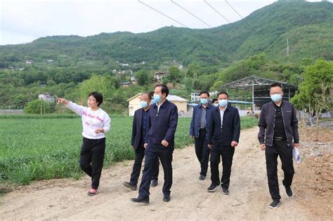 罗本军在仙河镇检查指导乡村振兴工作 旬阳市人民政府