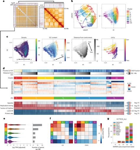 Diverse Silent Chromatin States Modulate Genome Compartmentalization