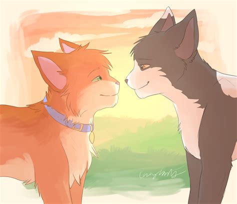 Jake And Talltail By Cascadingserenity On Deviantart