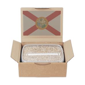 Mondo Treasure Coast Magic Mushroom Grow Kit Buy Grow Kit