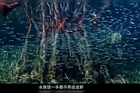 有它千分之一的速度就可以把棒球扔上月球，人类对力量一无所知！月球人类力量