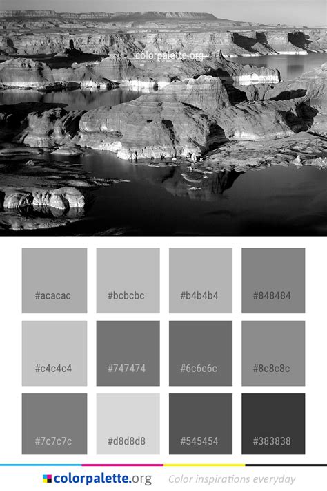 Light Lighting Darkness Color Palette