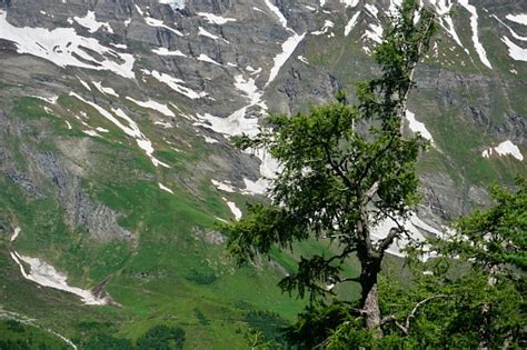 Grossglockner High Alpine Road 는 오스트리아에서 가장 높은 표면 산악 패스 도로입니다 경관에 대한 스톡
