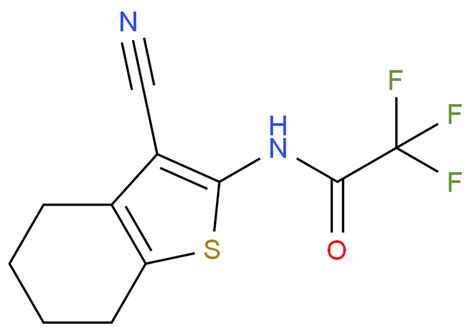 N Cyano Tetrahydro Benzo B Thiophen Yl Trifluoro Acetamide Wiki