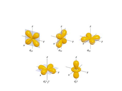 Orbital Shape Orientationt Ppt