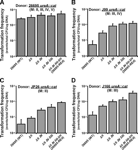 Transformation Of H Pylori Type Ii Restriction Endonuclease Deficient Download Scientific