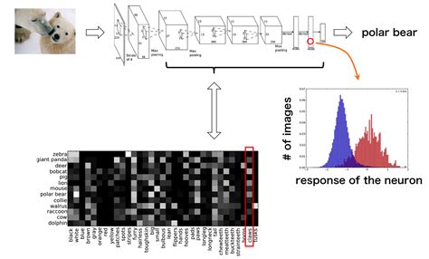 Image Analysis Lab 畳み込みニューラルネットワーク内部表現の理解