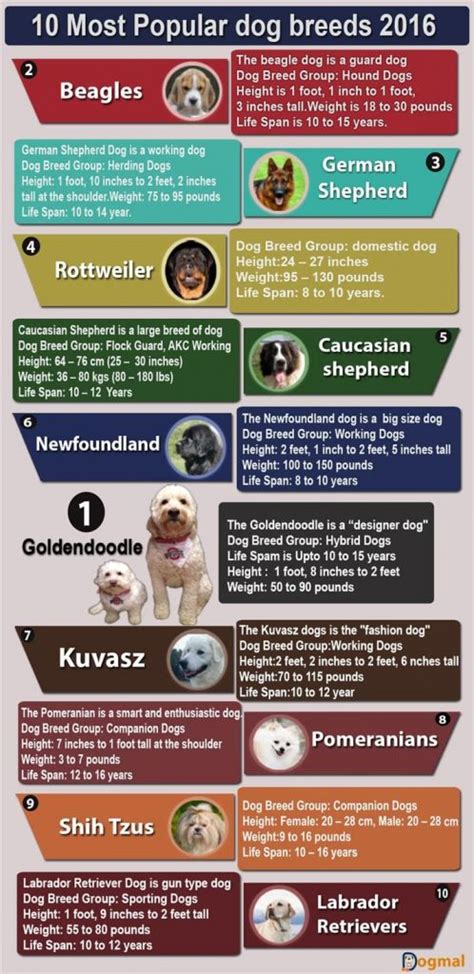 10 Most Popular Dog Breeds 2016