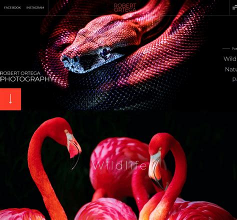 How To Create A Photography Website Elementor