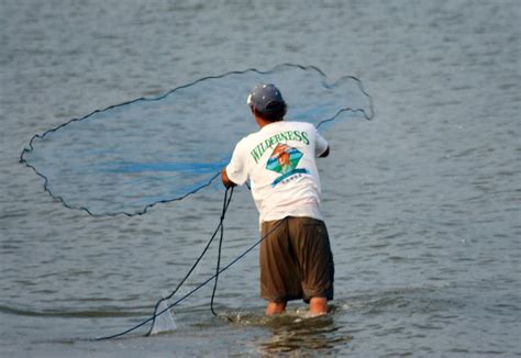 Bait Casting Free Photo Download Freeimages