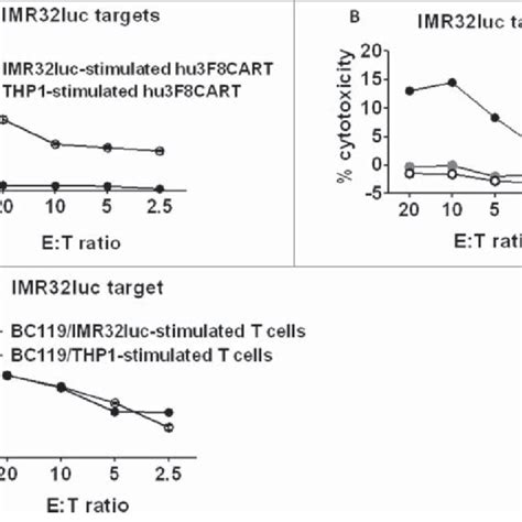 The Fate Of Cart Cells And Bsab Engaged T Cells Differs At The Tumor