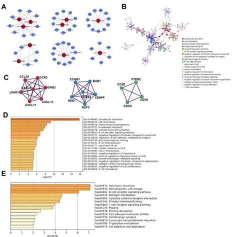 Functional Analysis Of Lncrnas In Crc Metastasis A Lncrna Mrna