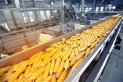 13520 Corn Processing Plant Royalty Free Photos And Stock Images