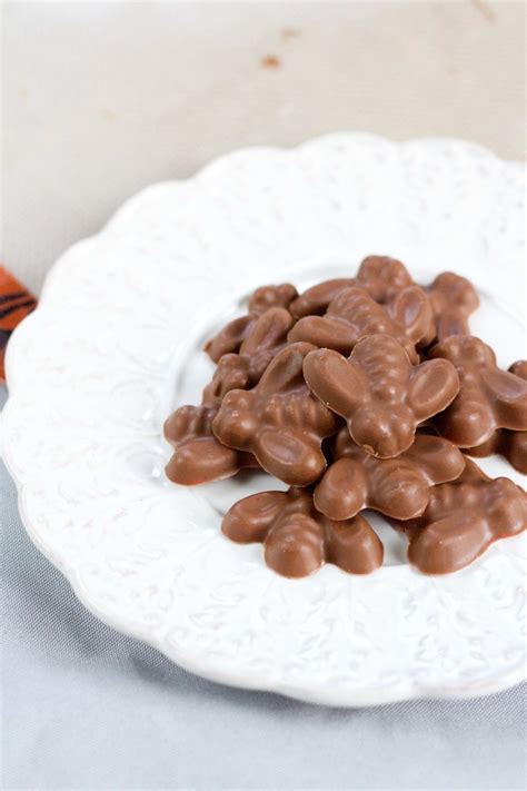 Harry Potters Fizzing Whizbees Candy [gf V] 918 Plate