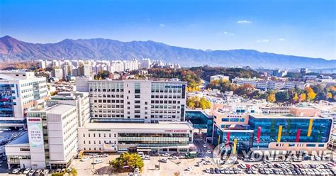 [강원소식] 강원대병원 인턴 28명 모집…원서접수 24∼26일