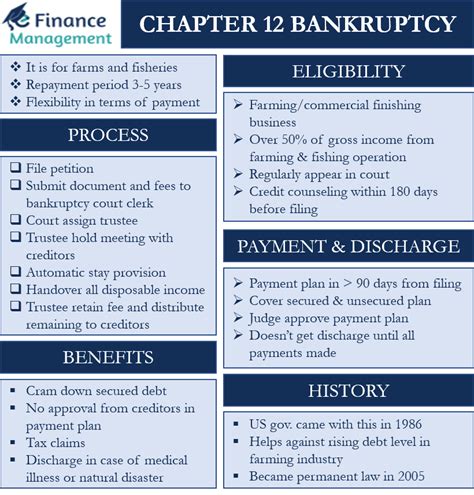 Financial Leverage Meaning Measuring Ratios Degree Illustration Efm