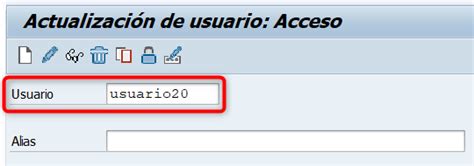 Como Saber Que Roles Tienen Asignados Los Usuarios En SAP