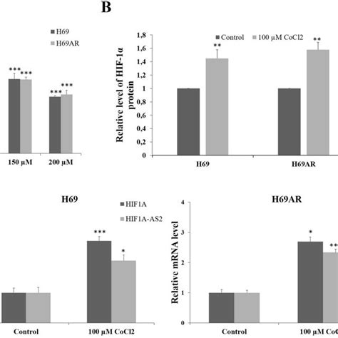 Hypoxia Induced Expression Of Hif1a As2 In Sclc Cells A Sclc Cells