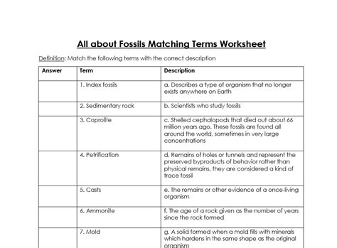 Earth Science All About Fossils Matching Terms Worksheet Teaching Resources