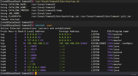 Tomcat双实例（两种方法）tomcat 双活 Csdn博客