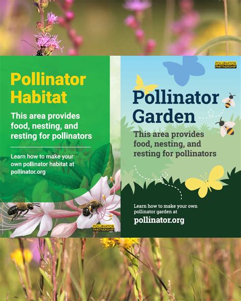 The Pollinator Partnership Check Out The New Pollinatorweek 2023