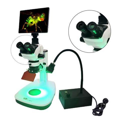 Dk 300x Stereo Microscope Fluorescence Adapter Manufacturers And Suppliers Factory Price