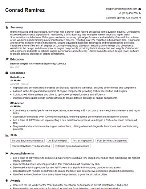 Jet Worker Resume Template Resumegemini Online Resume Builder