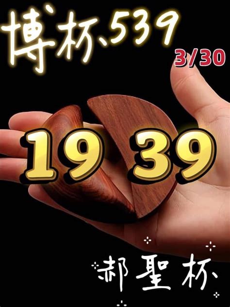 新澳門六合彩～內部碼數據碼報牌