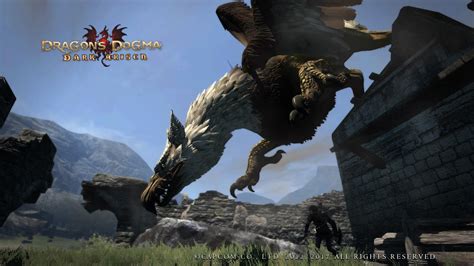 Dragons Dogma Griffin Dive By Roundularman On Deviantart