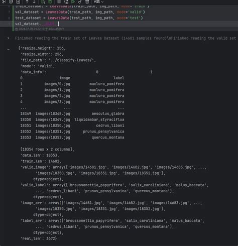 Torchutilsdatadataloader Cantnot Iterdataloader Data Pytorch