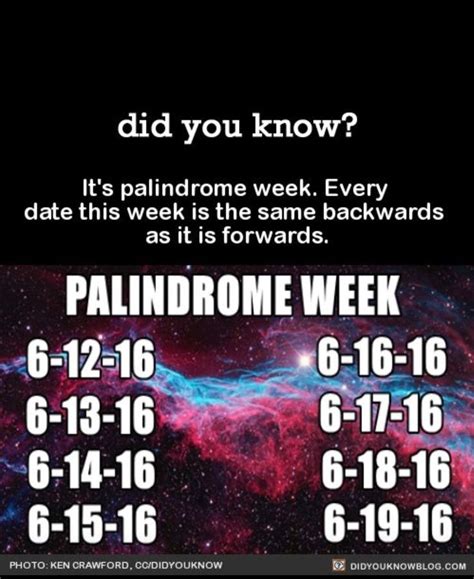 Its Palindrome Week Funny Memes Inspirational Words Fun Facts