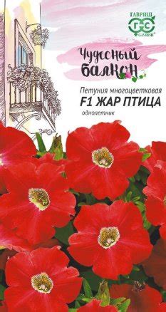 Петуния Жар птица 10шт Чудесный балкон!